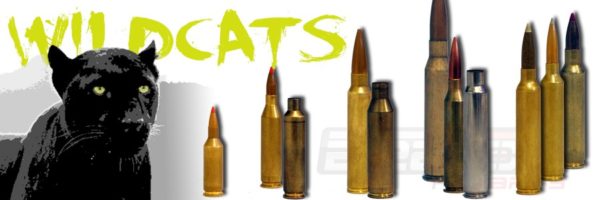 Wildcat Cartridges to Improve your Rifle - Beaton Firearms