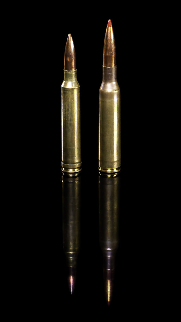 300 Winchester Magnum - Beaton Firearms