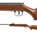 Rifles: Air/Gas - Beaton Firearms